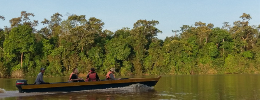 Borneo Wildlife Safari - Missions - Sedunia