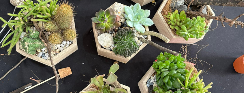 DIY Terrarium Therapy Workshop - Missions - Sedunia